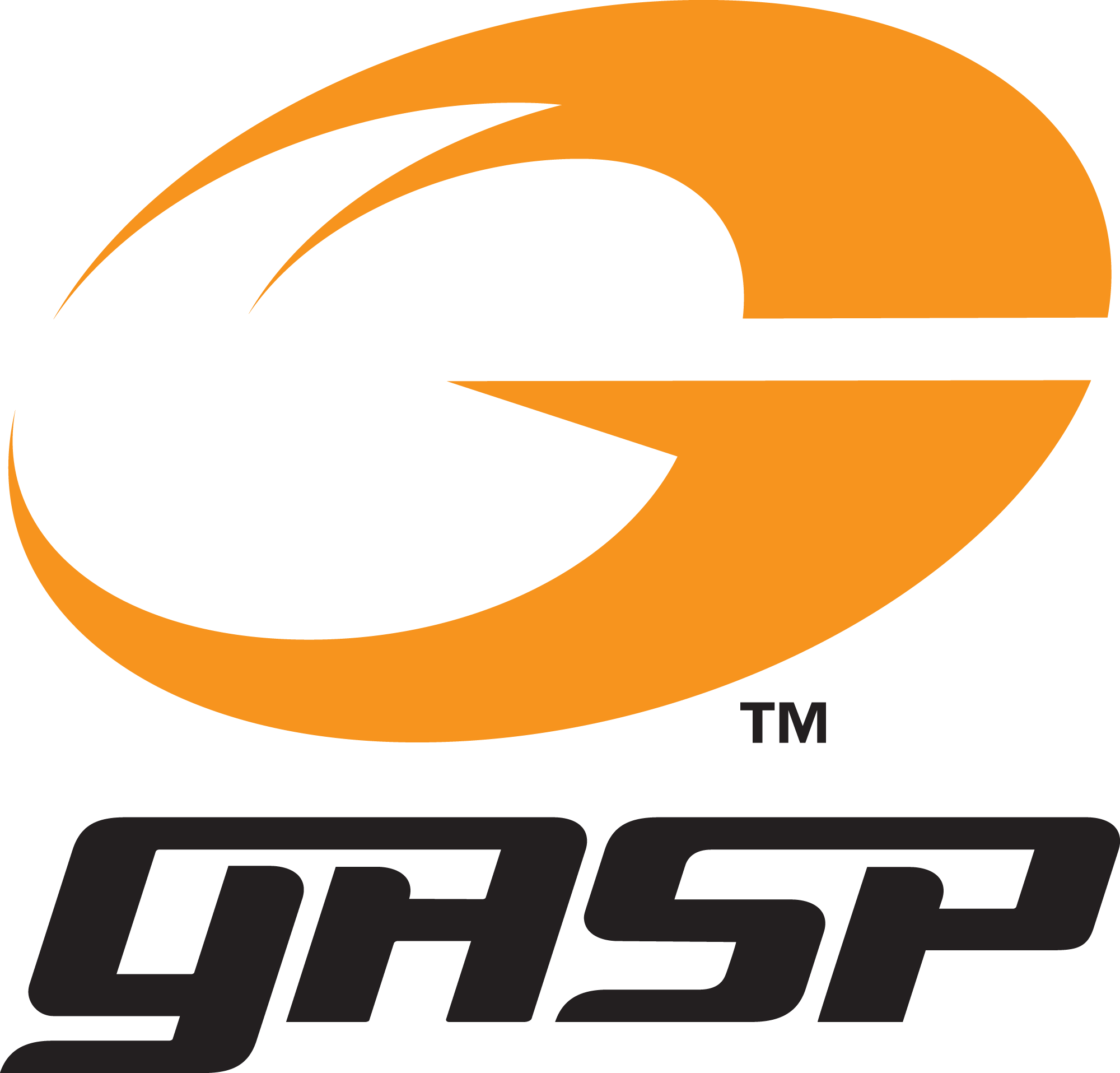 Osta GASP Training Belt, Black, S | Fitnesstukku.fi